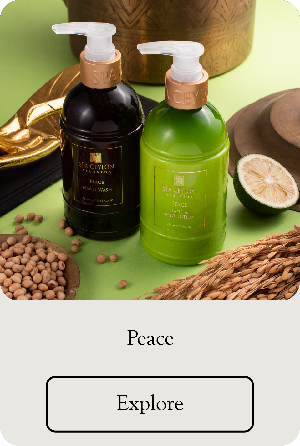 Spa Ceylon: UK's Award Winning - Luxury Ayurveda Wellness Brand